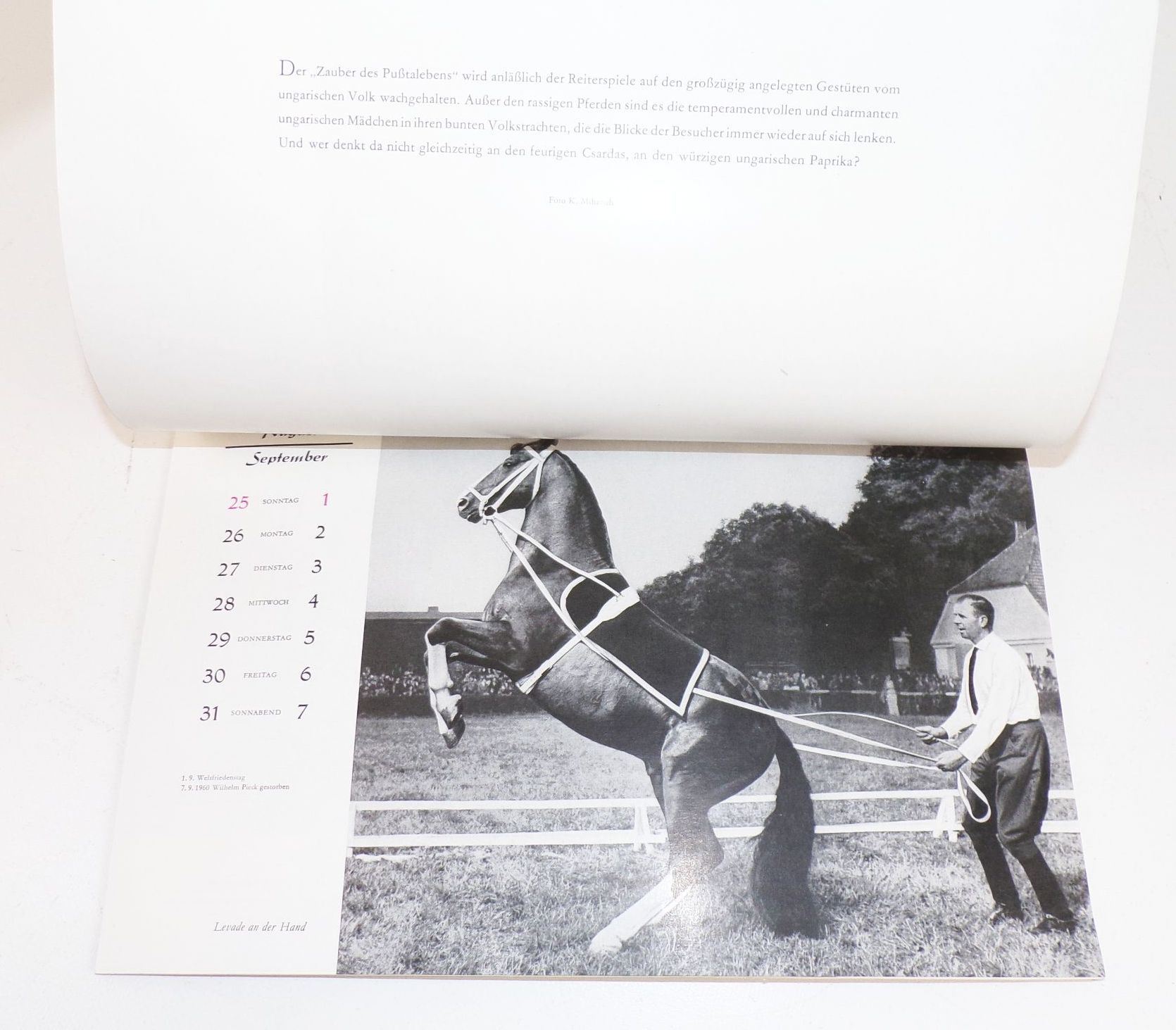 Pferde Zucht und Sport 1968 Kalender | 18936