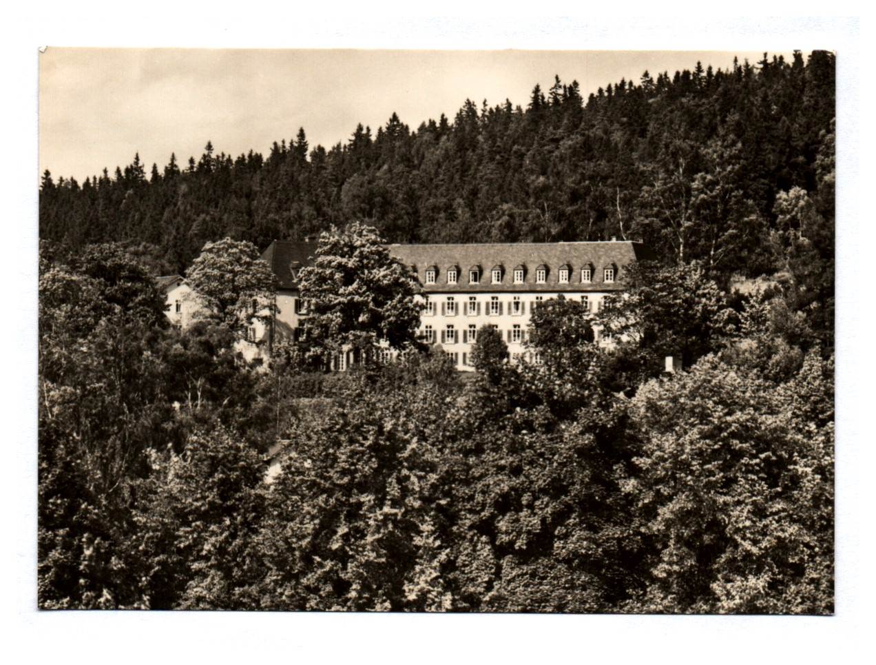 Foto Ansichtskarte Staatbad Bad Elster Schillergarten Echtfoto | Ak268