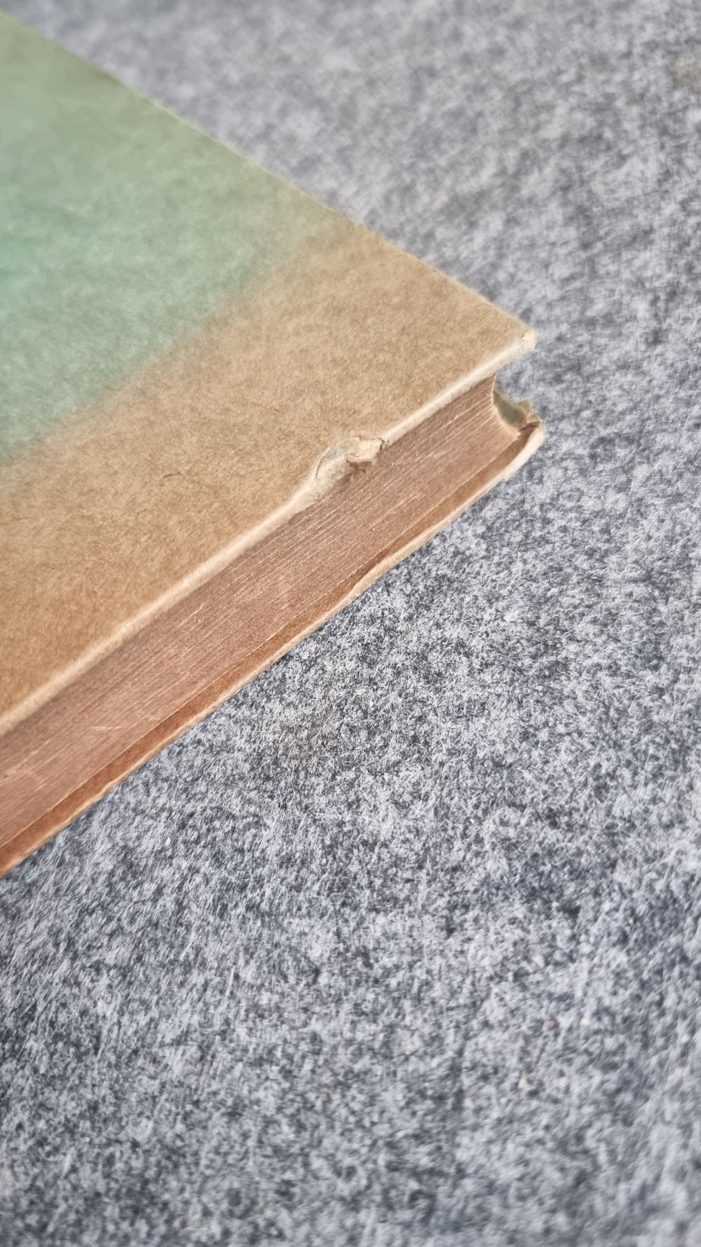 Die Welt von der Kehrseite Alexander Moszkowski 1920 altes Buch | 20281