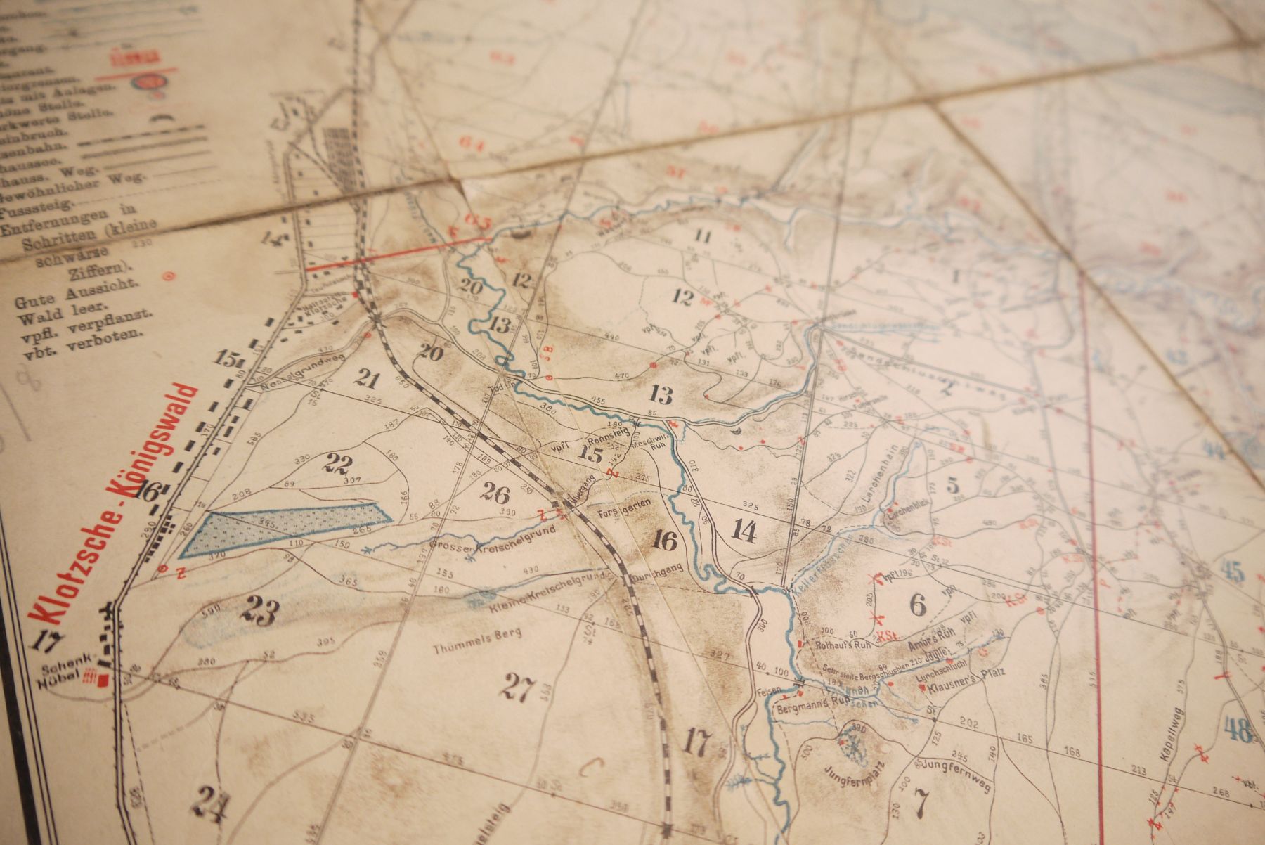 Leinenlandkarte Karte der Dresdner Heide 1890 alte Landkarte | 18186