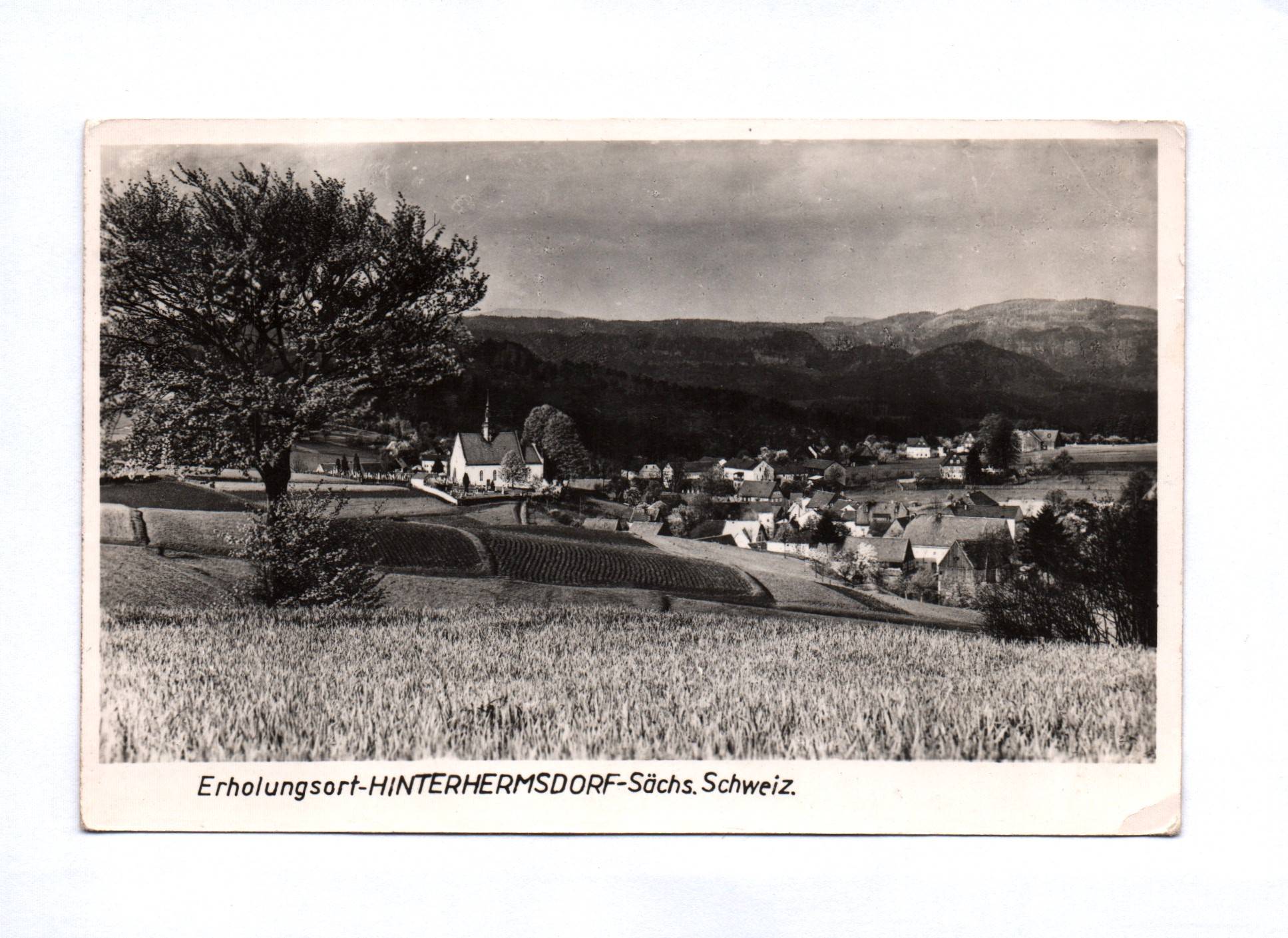 Ak Erholungsort Hinterhermsdorf Sächsische Schweiz 1961 | Ak4319