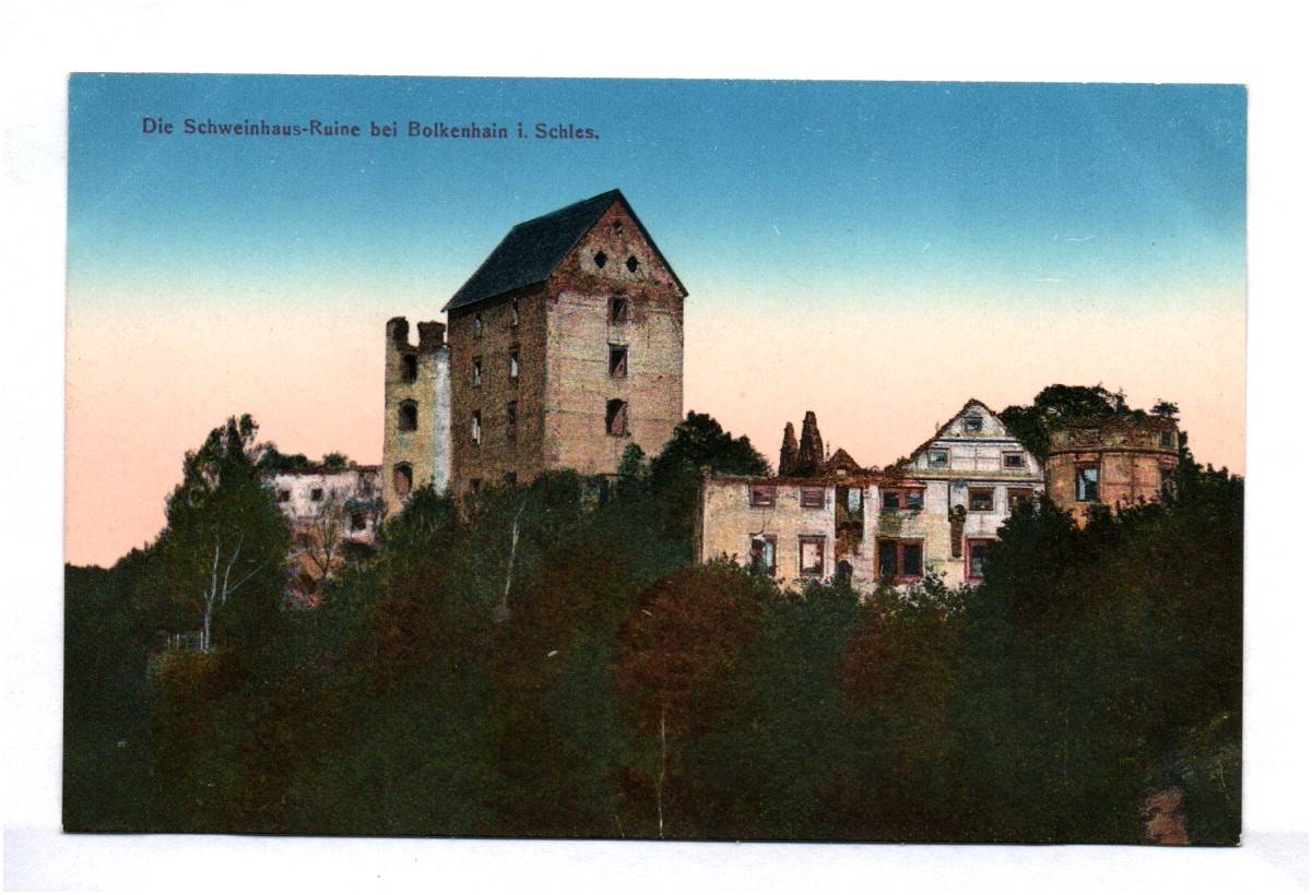 Ak die Schweinhaus Ruine bei Bolkenhain Schlesien | 5683