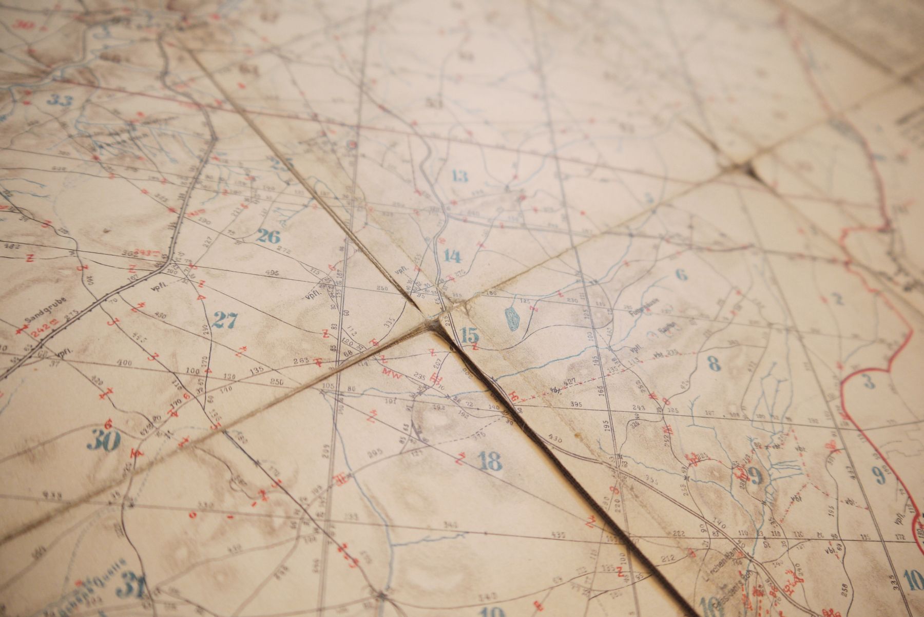 Leinenlandkarte Karte der Dresdner Heide 1890 alte Landkarte | 18186